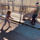 Vision Quest Ranch - 757 Photos & 268 Reviews - Bed & Breakfast - 400 ...