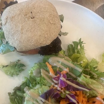 THE MORINGA TREE - Updated October 2025 - 41 Photos & 23 Reviews - 317 ...