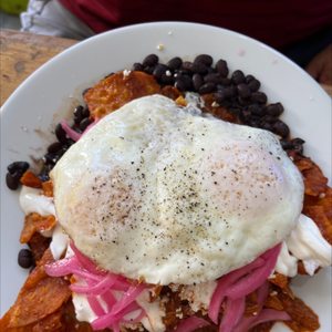 THE SHOP - 495 Photos & 312 Reviews - 2933 Monte Vista Blvd NE ...