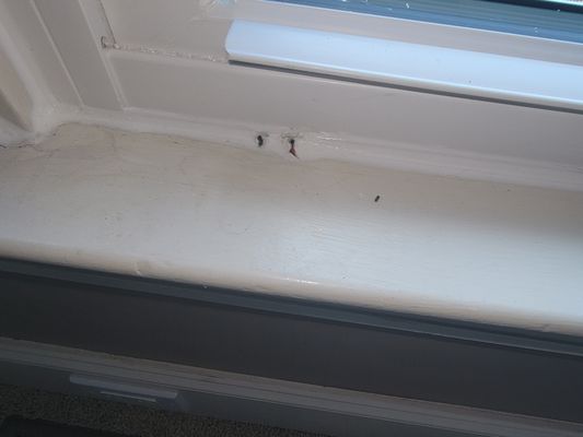 WINDOW WORLD OF ATLANTA - Updated August 2025 - 118 Photos & 203 ...