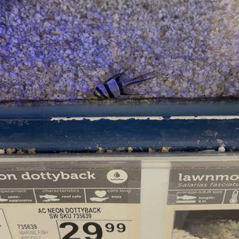 PETCO - Updated December 2025 - 530 Photos & 370 Reviews - 1121 South ...