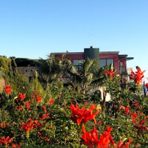 INSPIRATION POINT - 588 Photos & 149 Reviews - Ocean Blvd & Heliotrope ...