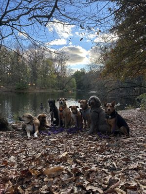 ZEN WALKER - Updated October 2024 - 13 Photos & 10 Reviews - Brooklyn ...