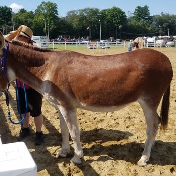 BROOKLYN FAIR - Updated January 2026 - 117 Photos & 11 Reviews - 15 ...
