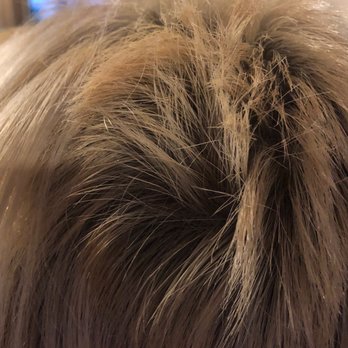 JAY MICHAEL’S HOUSE OF BEAUTY - Updated December 2025 - 43 Photos & 11 ...