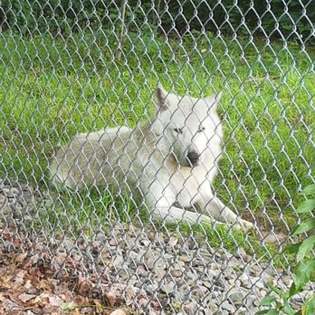 WOLF MOUNTAIN NATURE CENTER - Updated November 2025 - 27 Photos - 562 ...