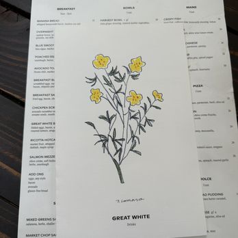 GREAT WHITE - Updated May 2024 - 1076 Photos & 579 Reviews - 244 N ...