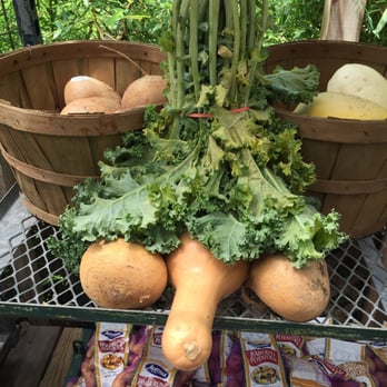 PINES PANTRY - Updated July 2025 - 20 Photos & 25 Reviews - 57 Pickkety ...