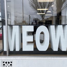 CATFFEINATED - Updated August 2025 - 10 Photos - 212 S Meridian ...