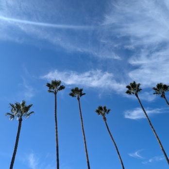 DOUBLETREE BY HILTON HOTEL SAN DIEGO - MISSION VALLEY - Updated August ...