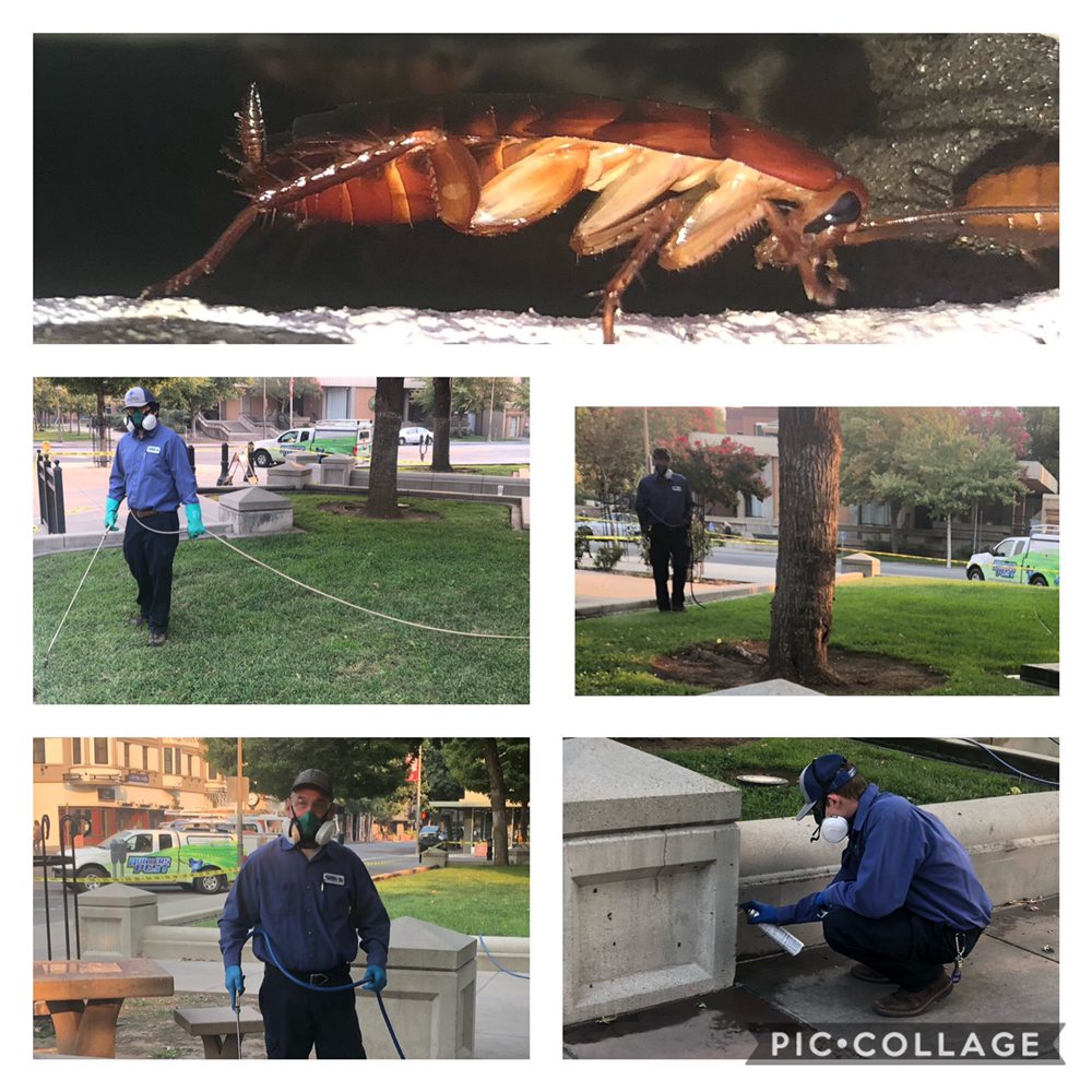 HUNTERS SERVICES - Updated October 2025 - 33 Reviews - 2060 3rd St ...