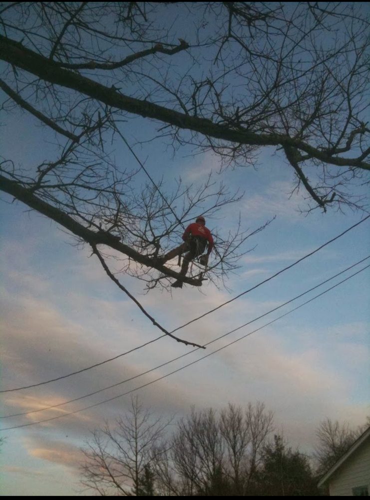 SAFETY TREE SERVICE - Updated December 2025 - 11 Reviews - 500 W 112th ...
