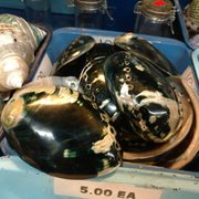 CALIFORNIA SEASHELL COMPANY - 75 Photos & 84 Reviews - 125 Main St ...