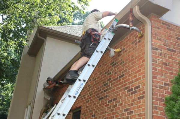 MAYDAY PEST CONTROL - Updated December 2025 - 17 Photos & 38 Reviews ...