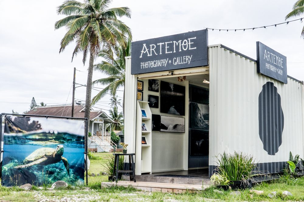 ARTEMOE GALLERY, THE ART OF CARLOS MOZO - 56-505 Kamehameha Hwy, Kahuku ...