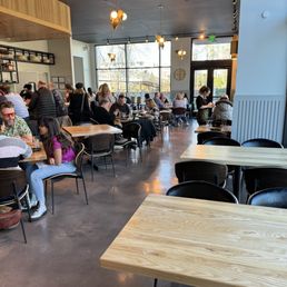 SAAP - Updated December 2025 - 256 Photos & 118 Reviews - 370 S Walker St, Cary, North Carolina ...