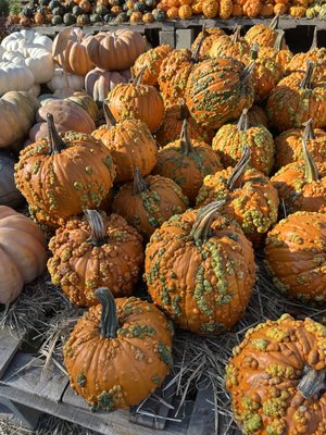 ALLANDALE FARM - Updated October 2025 - 113 Photos & 71 Reviews - 259 ...