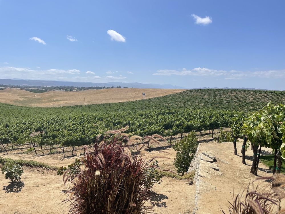 CALLAWAY VINEYARD & WINERY - 1278 Photos & 795 Reviews - 32720 Rancho ...