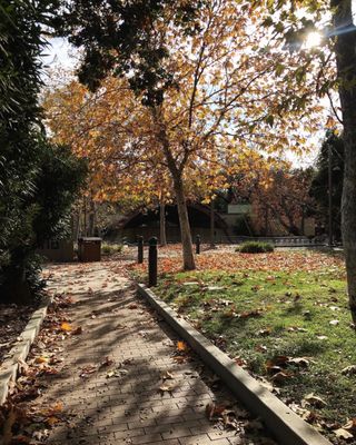 LIBBEY BOWL - 77 Photos & 27 Reviews - Behind Libbey Park, Ojai ...