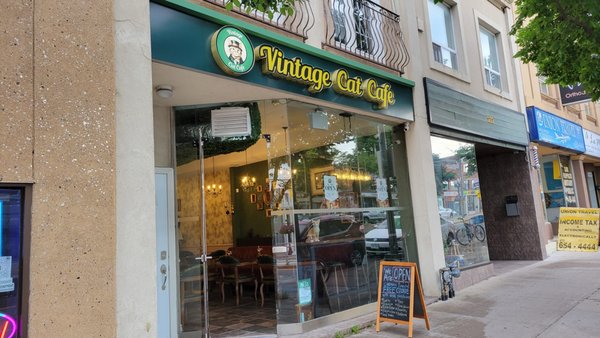 VINTAGE CAT CAFE - Updated September 2025 - 34 Photos & 10 Reviews ...