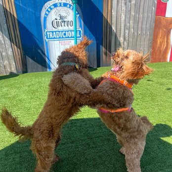 FETCH PARK - Updated August 2025 - 80 Photos & 19 Reviews - 309 ...