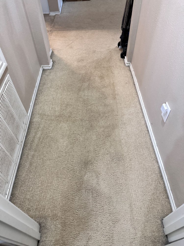 WE CLEAN CARPET - Updated December 2025 - 16 Photos & 55 Reviews - San ...