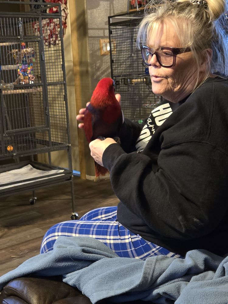 EXOTIC BIRD RANCH - Updated November 2025 - 3529 E Mulberry St, Fort ...