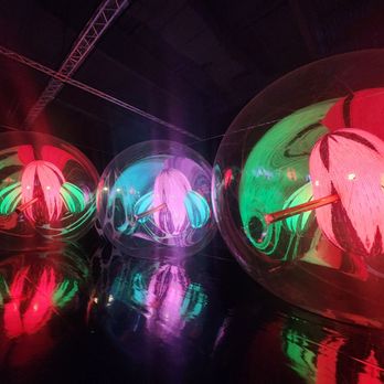 BALLOON MUSEUM - Updated September 2025 - 200 Photos & 43 Reviews - 299 ...