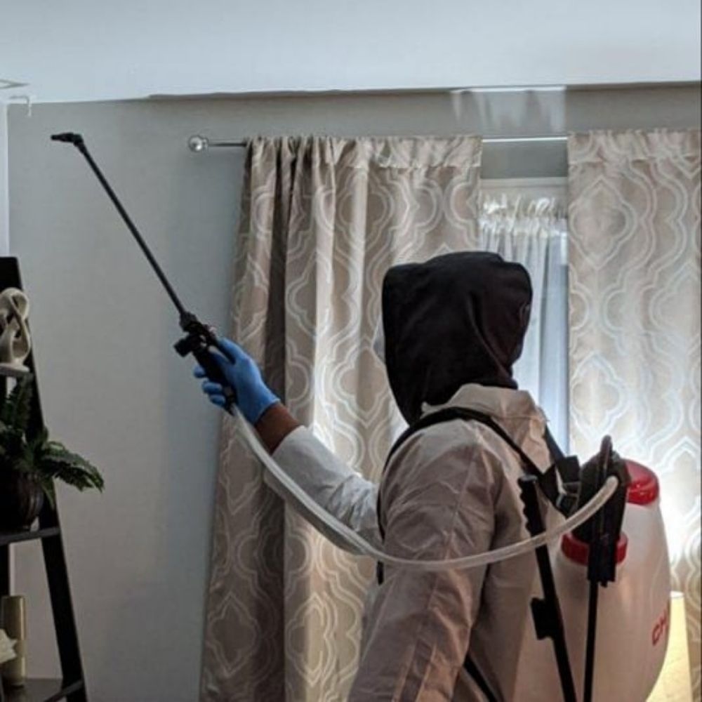 CLEAN RITE CLEANING - Updated April 2024 - 22 Photos - 84 Lemoine Ave ...