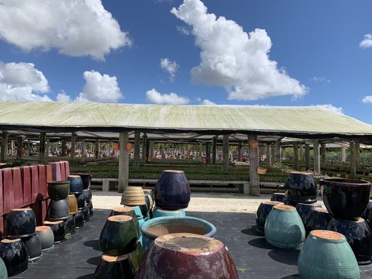 ISAAC FARMS - 441 Photos & 103 Reviews - Nurseries & Gardening - 18800 ...