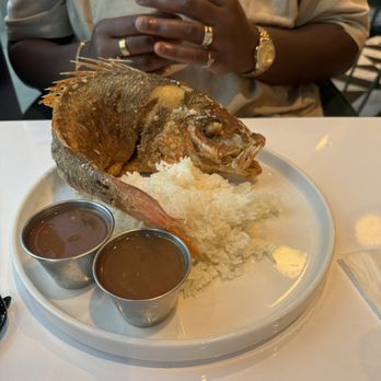 GEMMA FISH + OYSTER - Updated November 2024 - 405 Photos & 143 Reviews ...