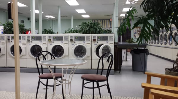 THE LAUNDRY LOUNGE - Updated October 2025 - 60 Photos & 110 Reviews ...