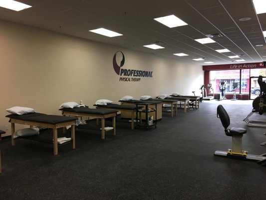 PROFESSIONAL PHYSICAL THERAPY - Updated January 2026 - 91 Main St ...