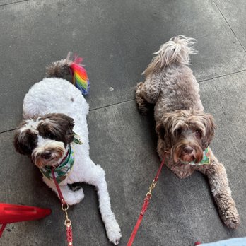 LADY JAYE - Updated January 2025 - 709 Photos & 255 Reviews - 4523 ...