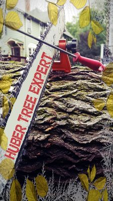 HUBER TREE EXPERT - Updated December 2025 - 114 Photos & 33 Reviews ...