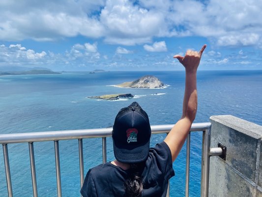 ALOHA GROWN - Updated December 2025 - 29 Photos & 26 Reviews - 224 ...