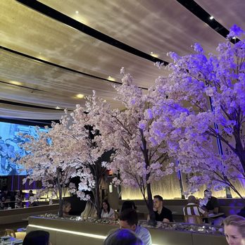 PAPERFISH SUSHI - Updated March 2025 - 1664 Photos & 832 Reviews - 1421 ...