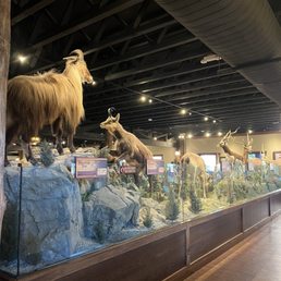 EMZARA’S BUFFET - Updated January 2026 - 67 Photos & 84 Reviews - 1 Ark ...