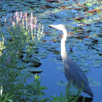 WINDHAM RAIL TRAIL - Updated October 2025 - 31 Photos & 19 Reviews - 6 ...