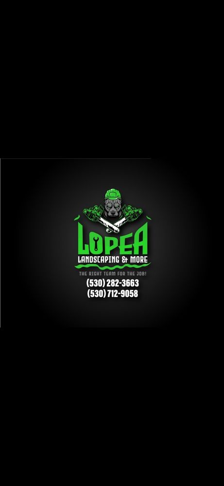 LOPEA LANDSCAPING AND MORE - Updated July 2025 - Request a Quote - 557 ...