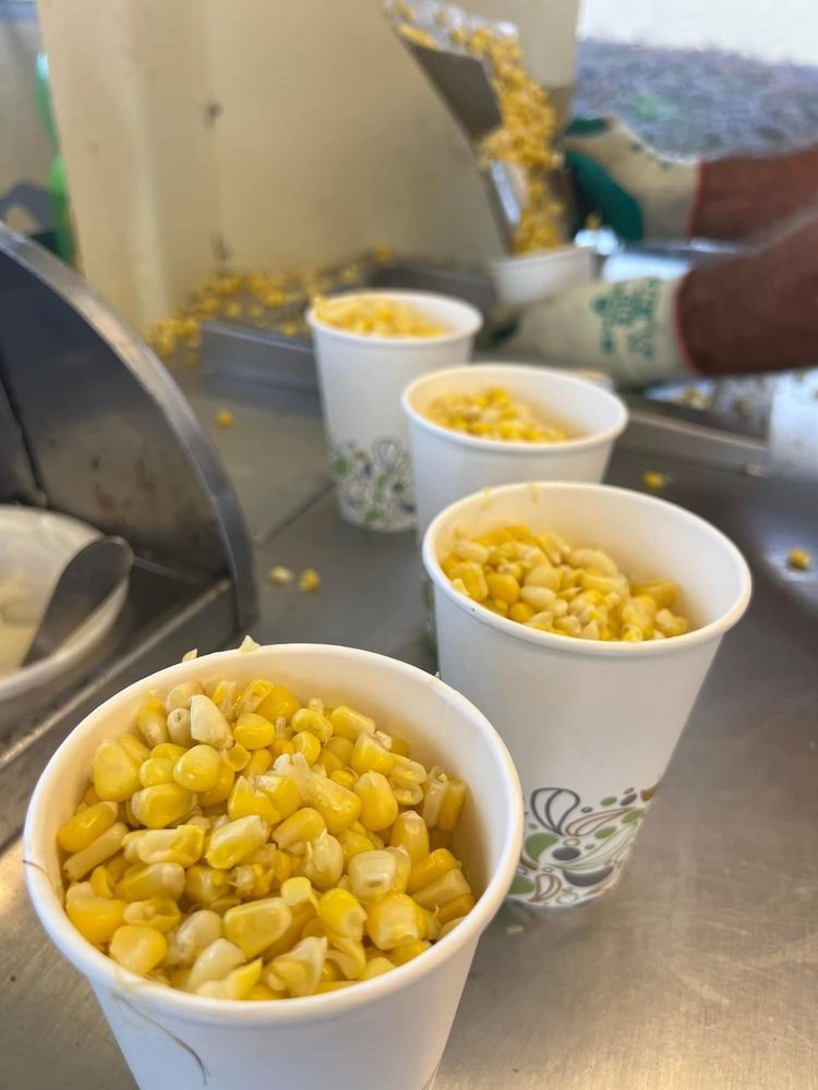BURRO’S ELOTES - Updated October 2025 - 5885 Gulf Fwy, Texas City ...