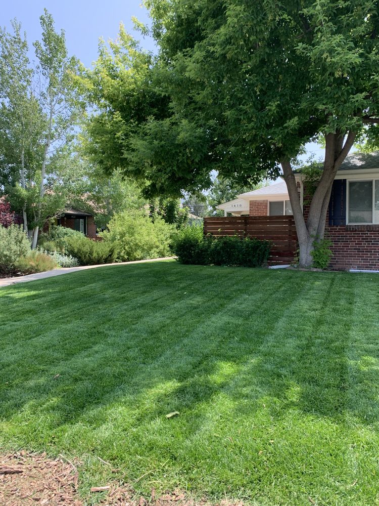 GARRETT’S LAWN CARE - Request a Quote - Aurora, Colorado - Lawn ...