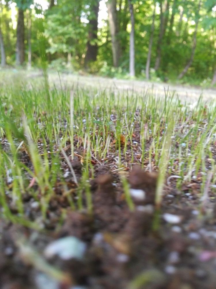 DIY HYDROSEED - Updated January 2025 - East Kingston, New Hampshire ...