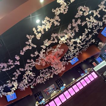 SUSHI NAMI - Updated April 2025 - 350 Photos & 88 Reviews - 3131 ...