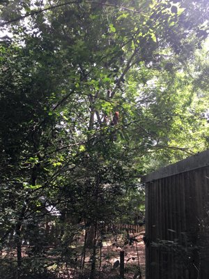 ZOOSIANA ZOO OF ACADIANA - 51 Photos & 27 Reviews - Zoos - 5601 Hwy 90 ...