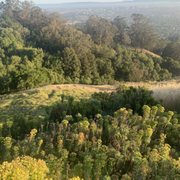 BERKELEY FIRE TRAILS - 382 Photos & 105 Reviews - Centennial Dr ...
