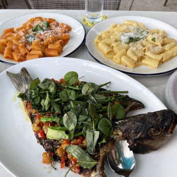 ALICI OYSTER BAR - Updated August 2024 - 375 Photos & 130 Reviews - 931 ...