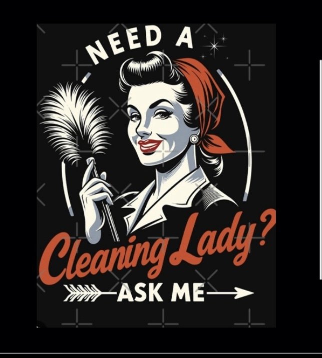 THE CLEANING QUEEN - Updated May 2025 - Request a Quote - 122 Preserve ...