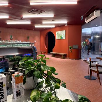 THE BRICK ROOM - Updated May 2025 - 37 Photos & 14 Reviews - 181 Bay ...