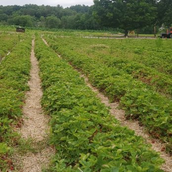 CAVANNA’S FARM - Updated October 2025 - 44 Photos & 18 Reviews - 80 ...